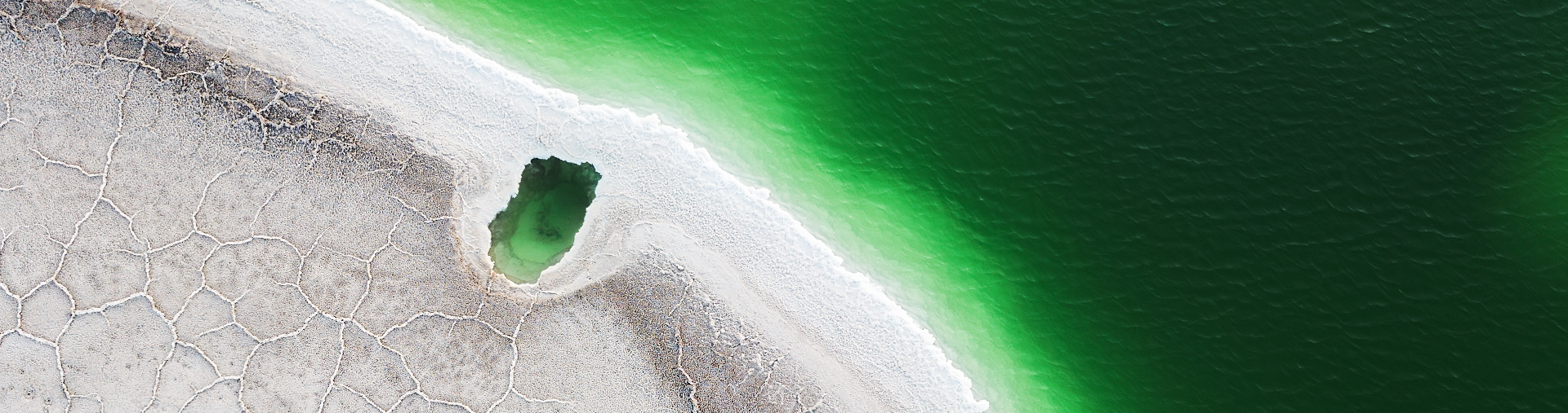 Environmental Intelligence · GreenFutures