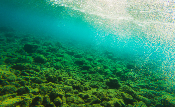 Healthy Oceans. Healthy Humans. · GreenFutures