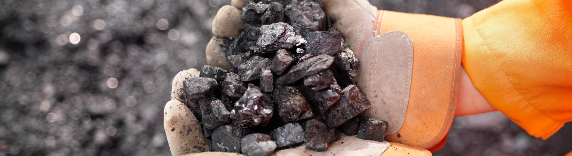 Accelerate the Phase-out of Coal · GreenFutures