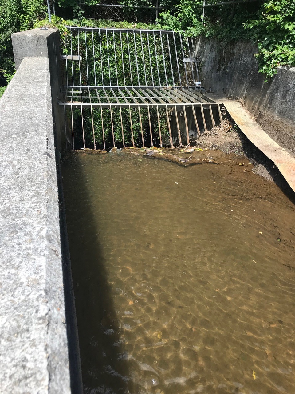 Sights and sounds of one of the country’s most polluted rivers on ...