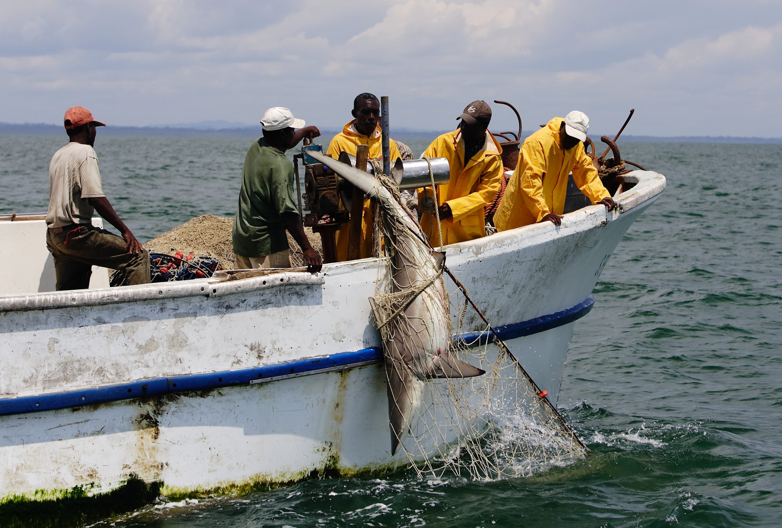 Gabon provides blueprint for protecting oceans · GreenFutures