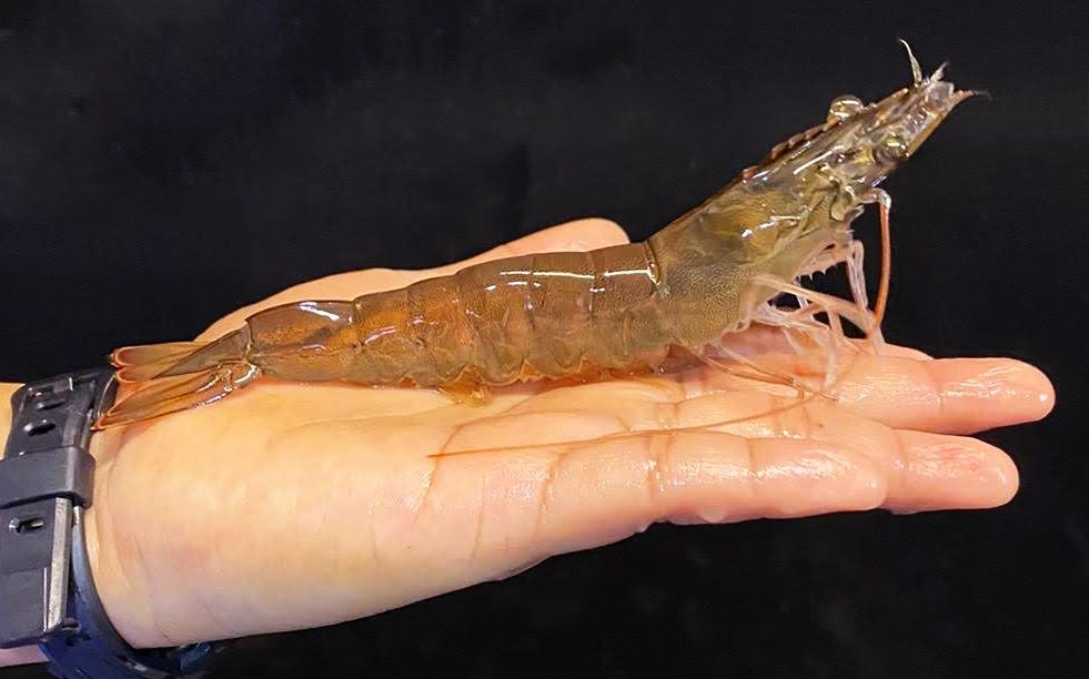 Multi-million funding for new 'terrestrial blue economy' research ...
