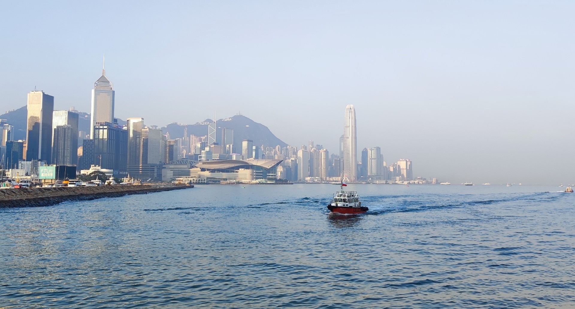 Coastal mega-cities expose wildlife to ‘relentless’ boat traffic ...